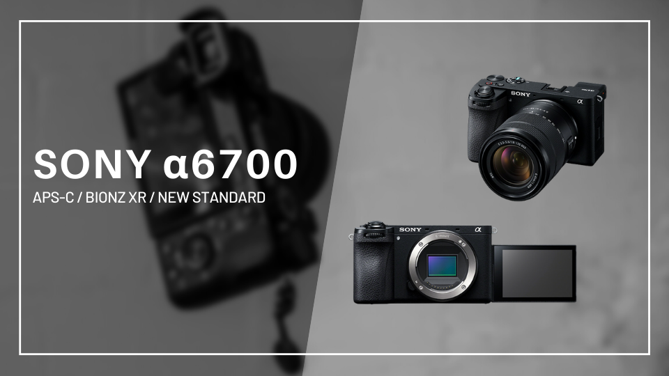 【レビュー】SONY α6700 全アマチュアにとってのNew Standardになるか？【魅力・気になる点は？】 | MoNomad